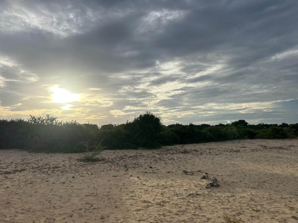 Best time to visit Sri Lanka - Ceylon Escapes